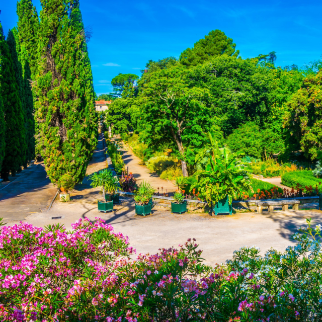 5 places you can't miss in Montpellier - Learn French in France