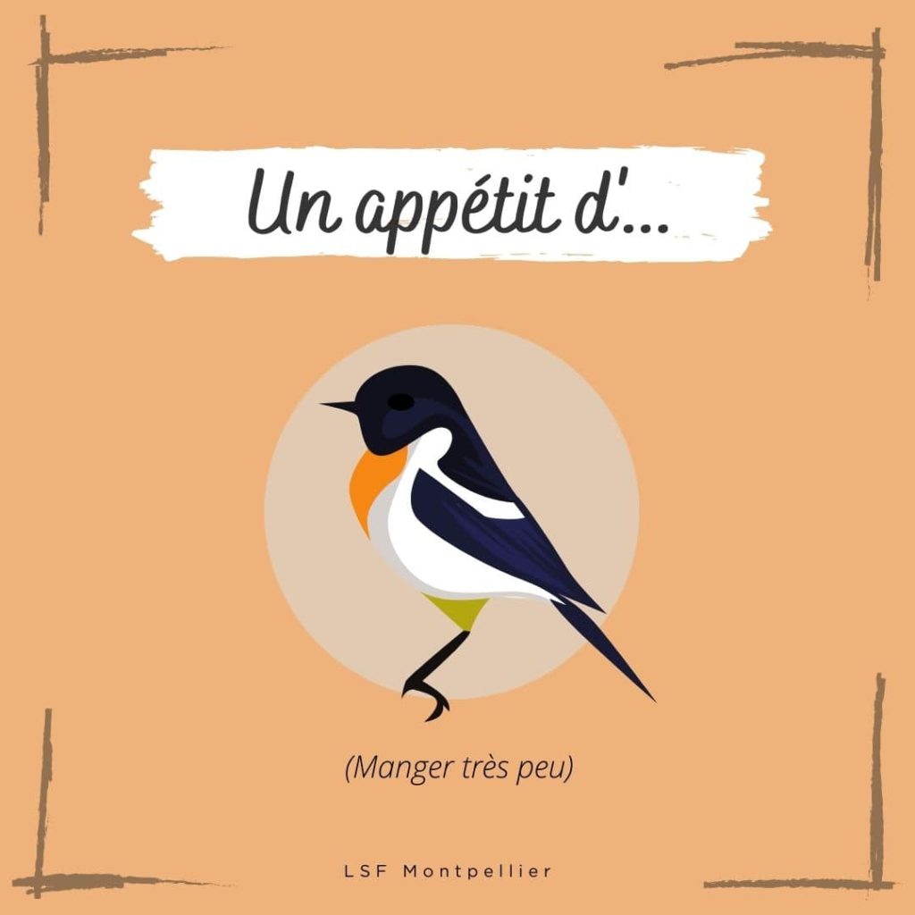 10 illustrated French expressions #1