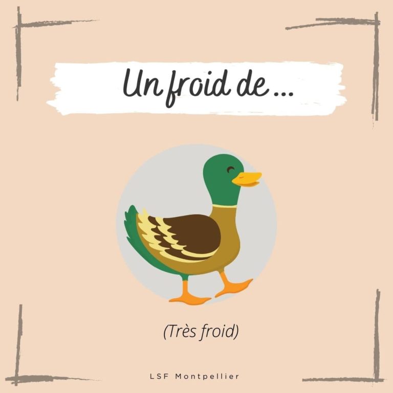 10 expressions françaises illustrées #1 - LSF | Learn French in South ...